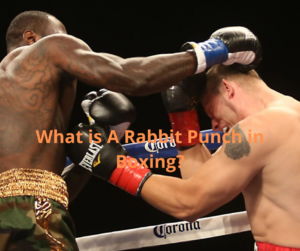What is A Rabbit Punch in Boxing ? - Askmeboxing.com